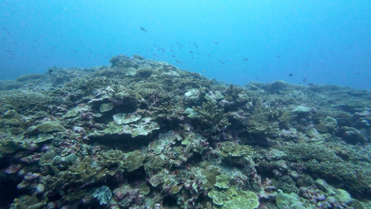 A journey into the blue heart of the South China Sea - CGTN