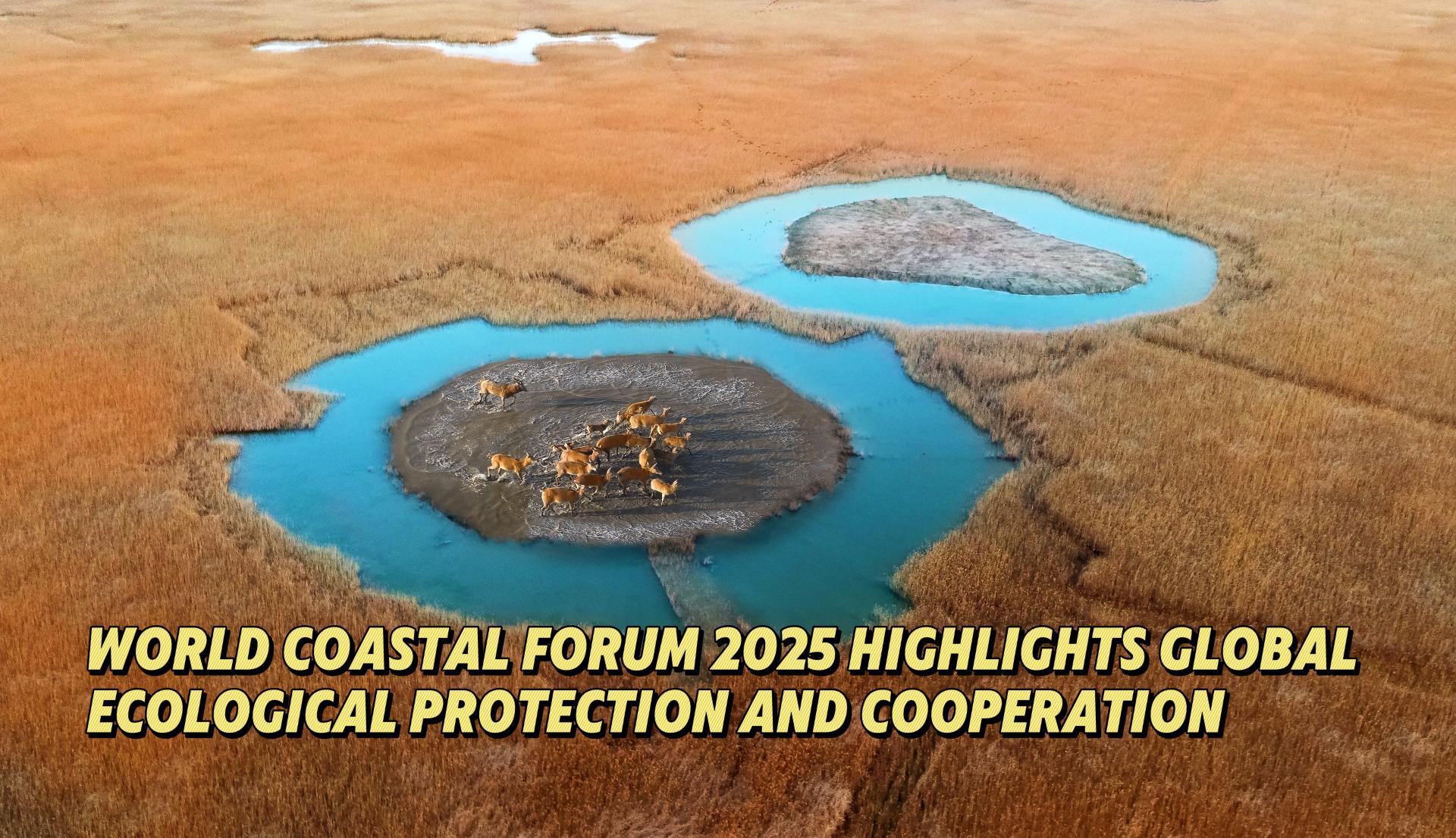 WCF 2025 highlights global ecological protection and cooperation - CGTN