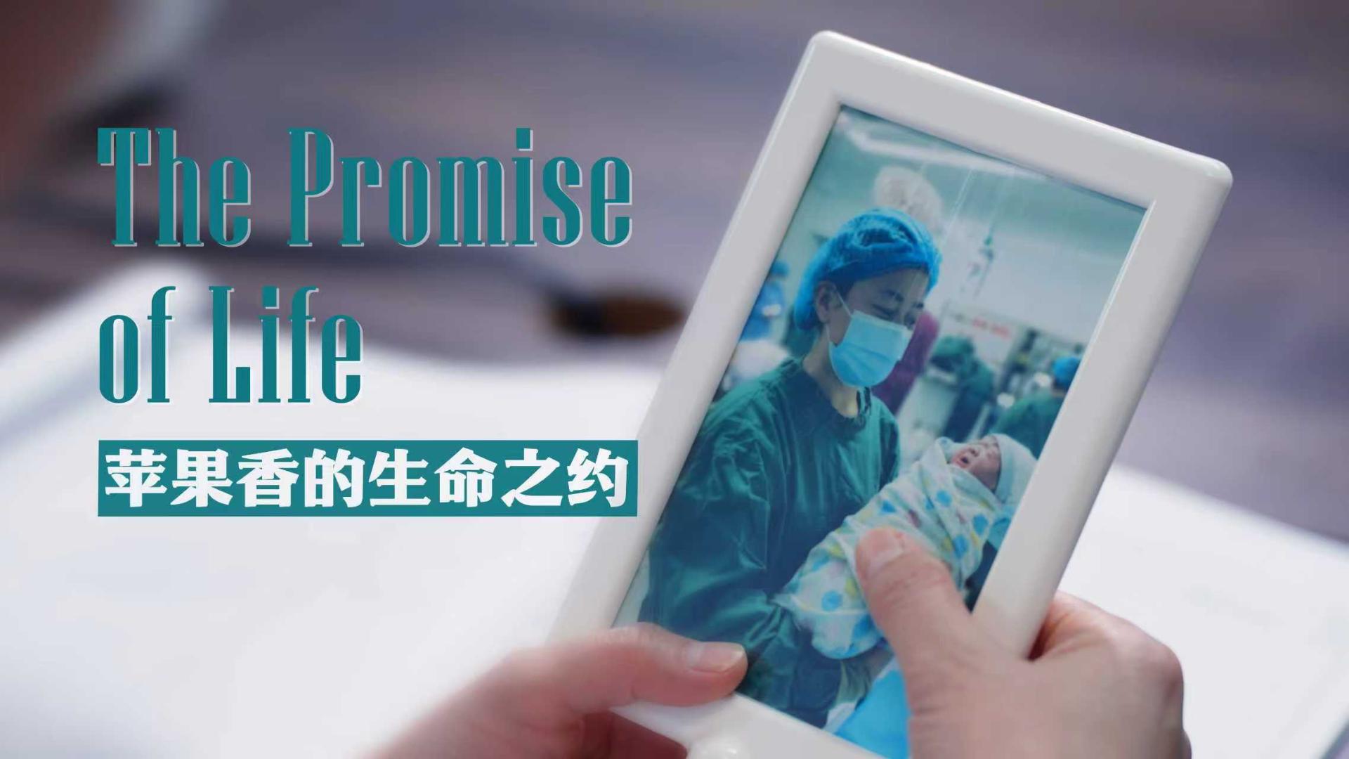 The Promise of Life - CGTN