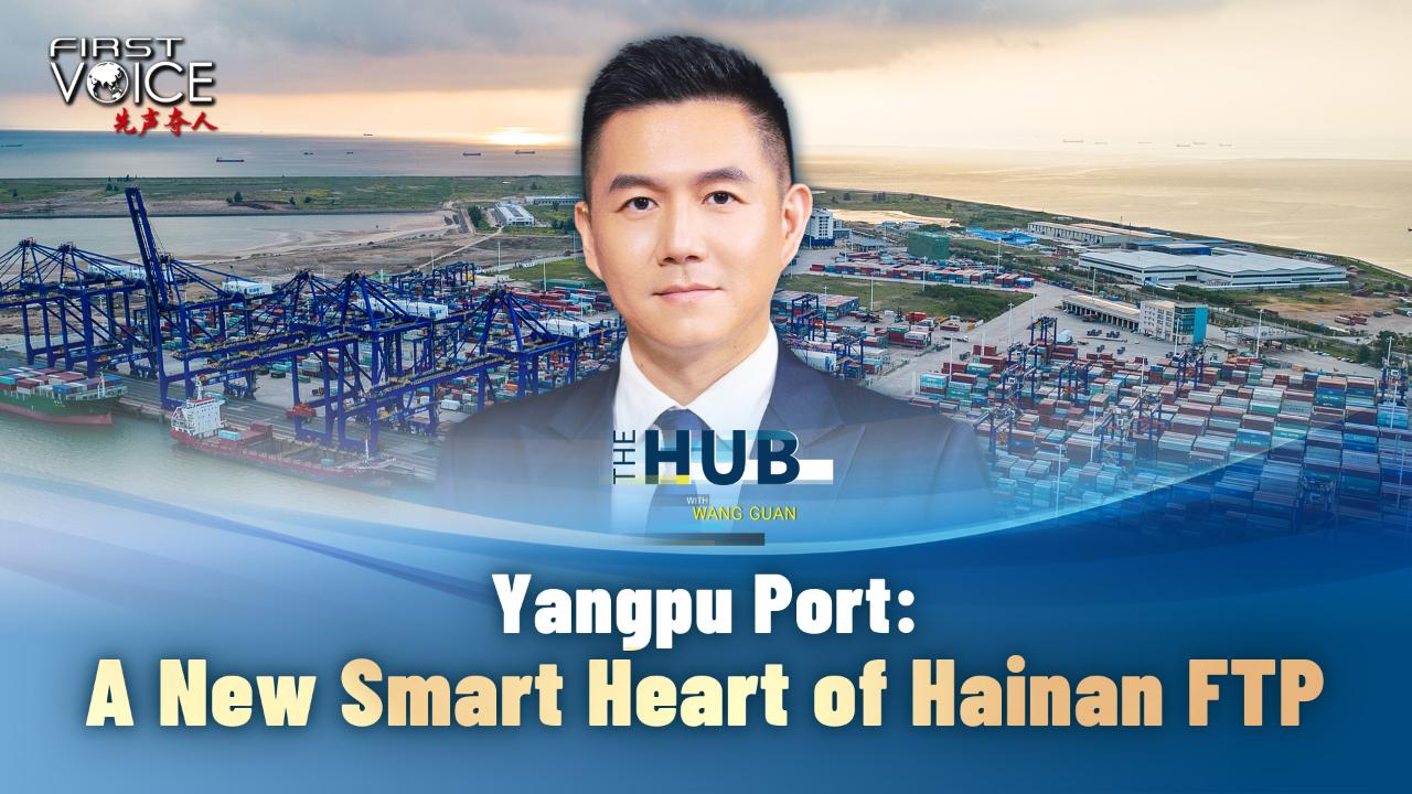 Yangpu Port: A new smart heart of Hainan FTP - CGTN