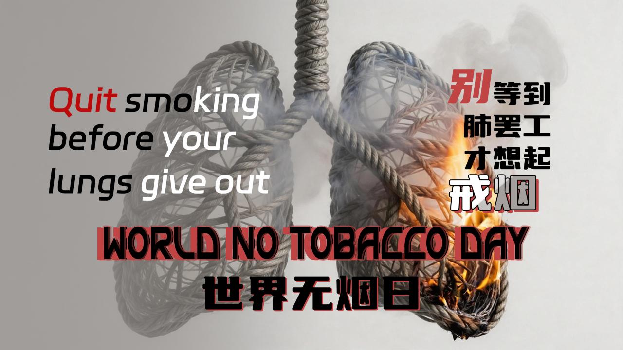 World No Tobacco Day: Quit smoking before your lungs give out - CGTN