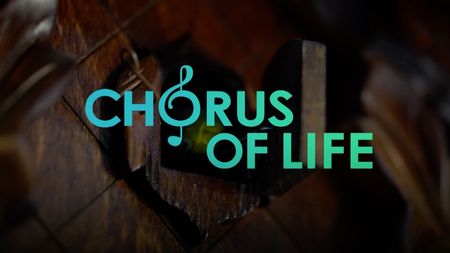 Chorus of life: The Clock Doctor - CGTN