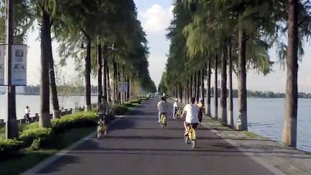 A greener nation: 28 cities recognized as 'forest cities' - CGTN