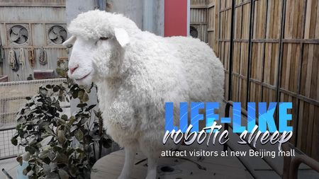 Life-like robotic sheep attract visitors at new Beijing mall - CGTN