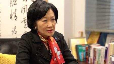 Regina Ip: HK human rights act will damage the city - CGTN
