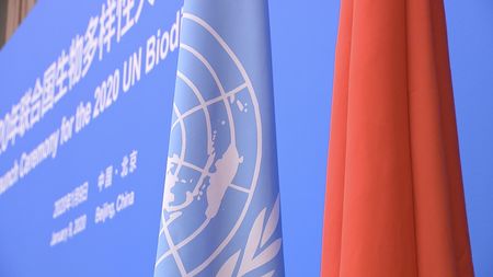 Logo launched for 2020 UN Convention on Biological Diversity - CGTN