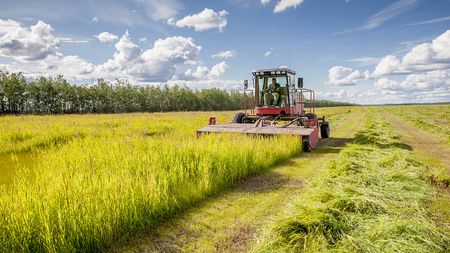 President Xi stresses importance of 'Three Rural Issues' - CGTN