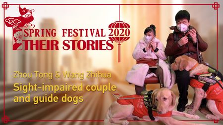 Guide dogs become part of life for China's disabled people - CGTN