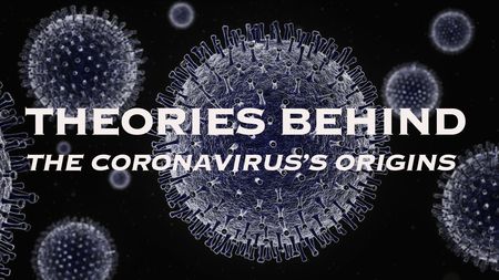 Theories behind the coronavirus' origins - CGTN