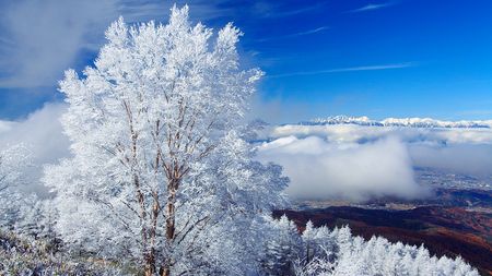 Rime ice in N China mountain - CGTN