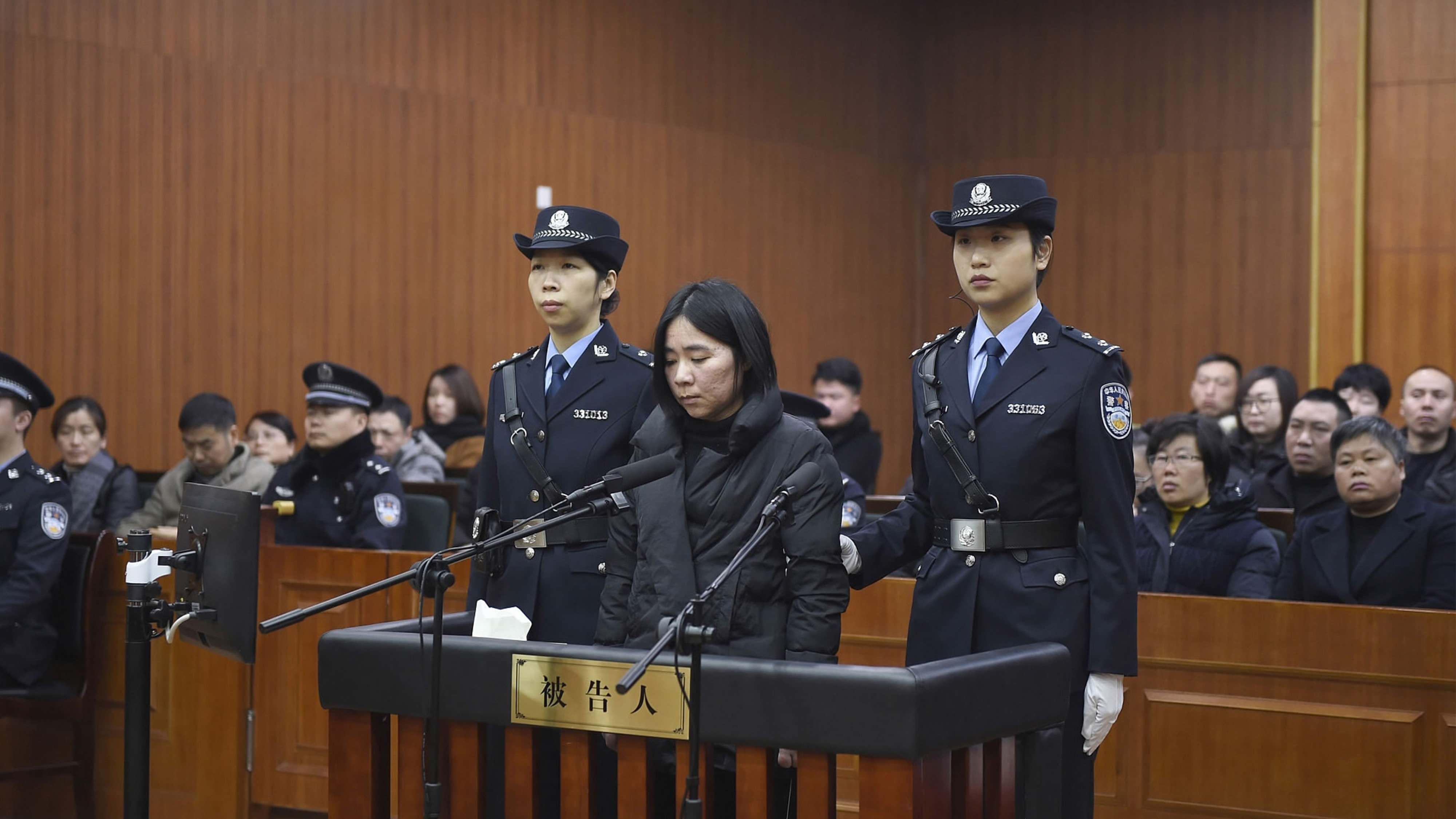 Second trial in Hangzhou nanny's arson case begins - CGTN