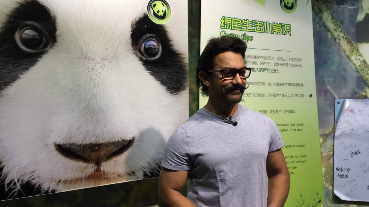 Bollywood's 'Panda' meets giant pandas in Sichuan - CGTN