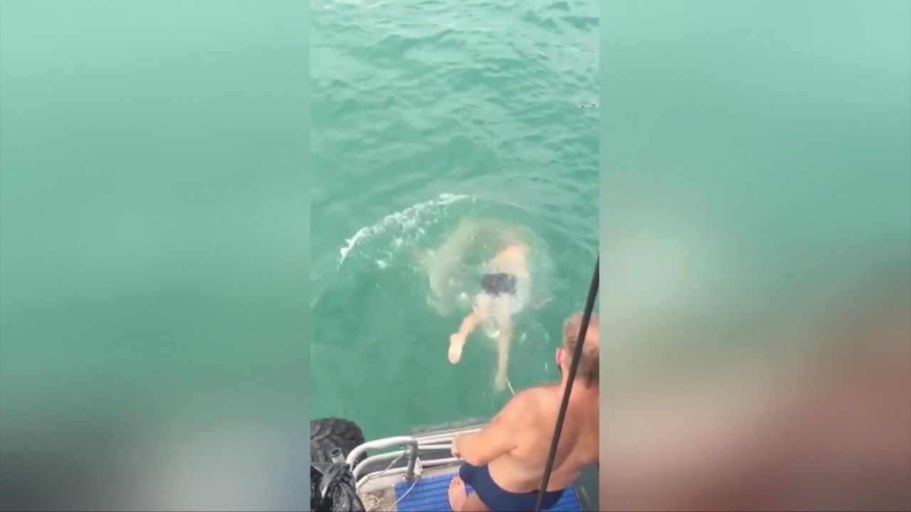Man vs. shark: Australian takes on large shark and lives to tell the ...