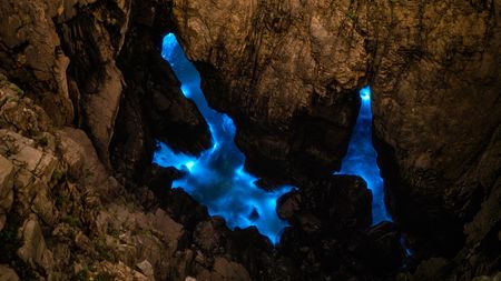 'Blue tears' illuminate E China coastal waters - CGTN