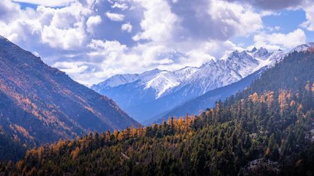 Baima Snow Mountain Nature Reserve: Get away from the madding crowd - CGTN