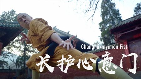 One of the traditional Shaolin fists: Changhuxinyimen fist - CGTN