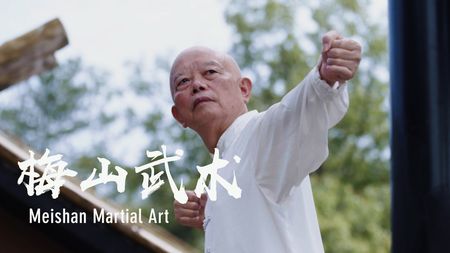 Meishan martial art - CGTN