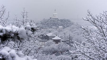 Capital in snow! Beijing welcomes 2020's first snowfall - CGTN