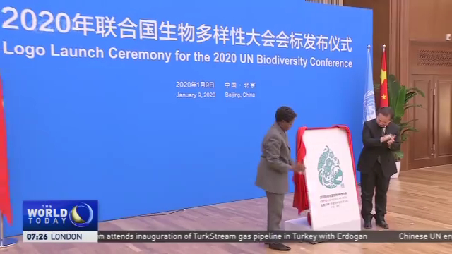 Environmental Protection: Logo launched for 2020 UN Biodiversity ...
