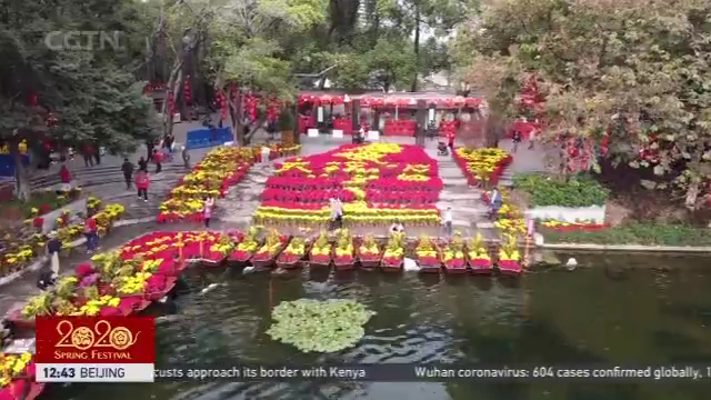 Spring Festival Fun: Guangzhou flower markets bloom in southern China ...