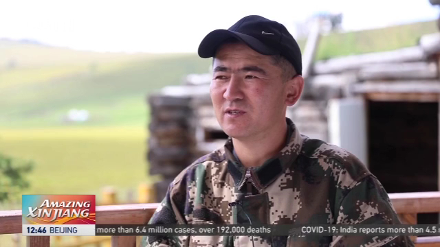 Amazing Xinjiang: Forest rangers devote decades to protecting Kanas ...
