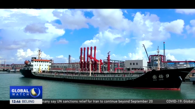 Balancing Economy and Environment: Port of Zhanjiang has high hopes for ...