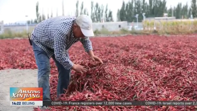 Western China Road Trip: Red peppers create steady stream of income for ...