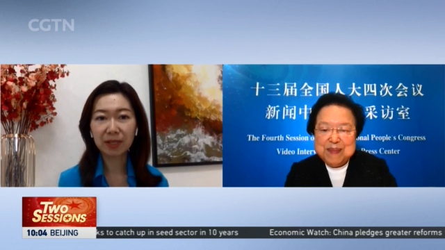 China's Political Season: Tam Wai-Chu: Legislative, executive bodies ...
