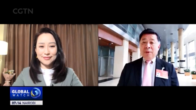 Two Sessions Econ Forum: Henry Tan: HK can play an important role in ...