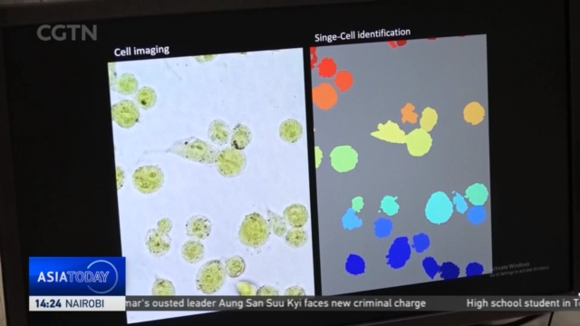 Cancer Detection: Singapore researchers harness AI to identify cancer ...