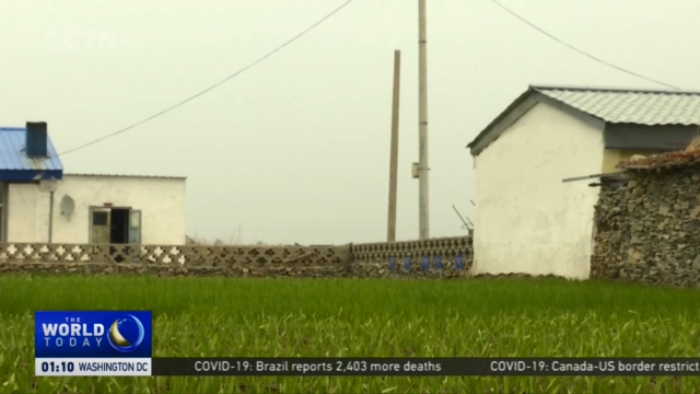 Human Rights in China: How do farmers benefit from the 'courtyard ...