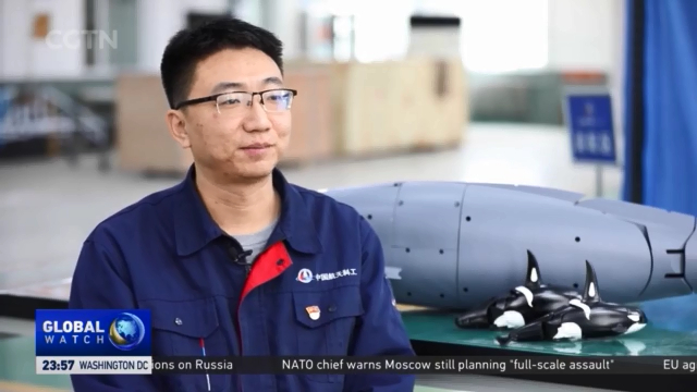 Bionic Whale Shark: Underwater robots help raise awareness of marine ...