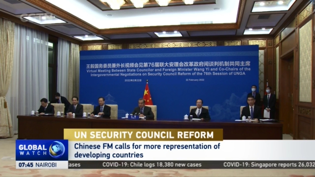 UN Security Council Reform: Chinese FM calls for more representation of ...
