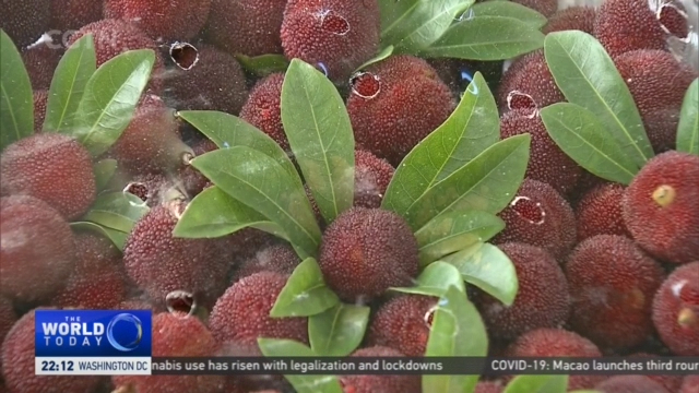 Fruit Transportation: Direct flights transfer fresh products across ...