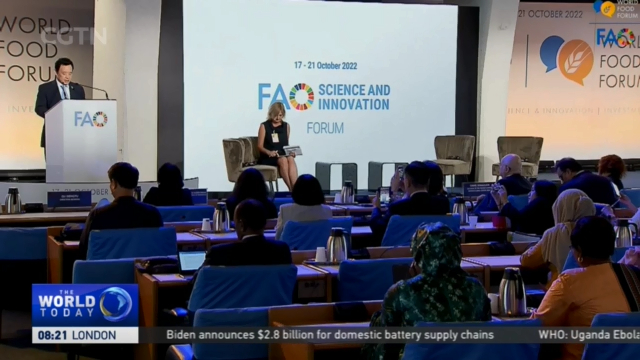 World Food Forum: UN warns of worsening situation, says over 800 ...