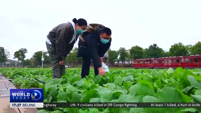 China's Shared Farms: Economic model aims to boost income, integrate ...
