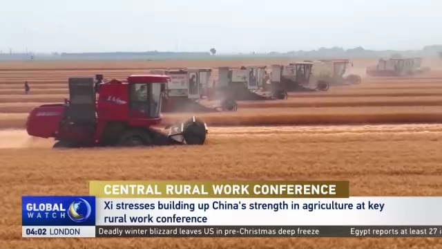 Central Rural Work Conference: Xi stresses building up China's strength ...