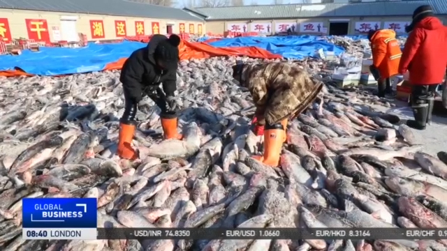 Winter Ice Fishing: Chagan Lake fisherfolk in northeast China's Jilin ...