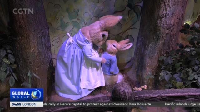 Year of the Rabbit: Tales of Peter Rabbit and the author Beatrix Potter ...