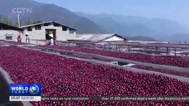 China's Rural Development: Agricultural specialty industries see promising market prospects - CGTN