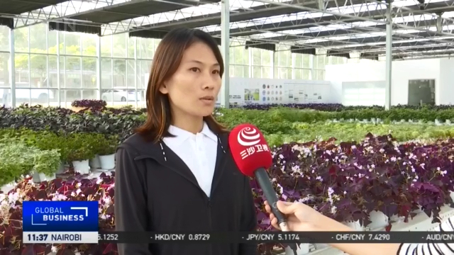 China Rural Revitalization: Small villages in Hainan fast becoming ...