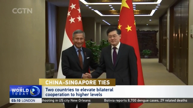 China-Singapore Ties: Two countries to elevate bilateral cooperation to ...