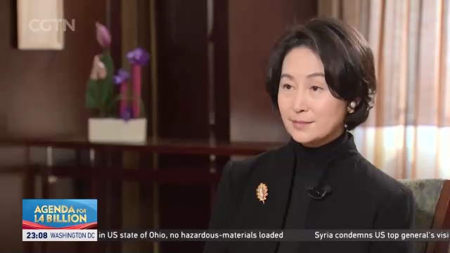 China's Political Season: One-on-one interview with CPPCC member Pansy ...