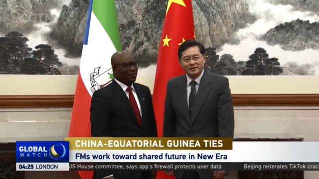 China-Equatorial Guinea Ties: FMs work toward shared future in New Era ...
