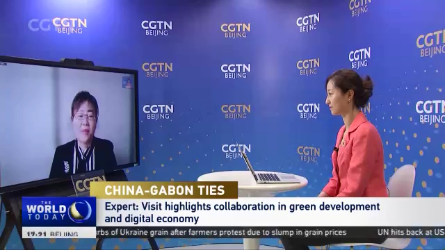 China Gabon Ties Expert Visit Highlights Collaboration In Green