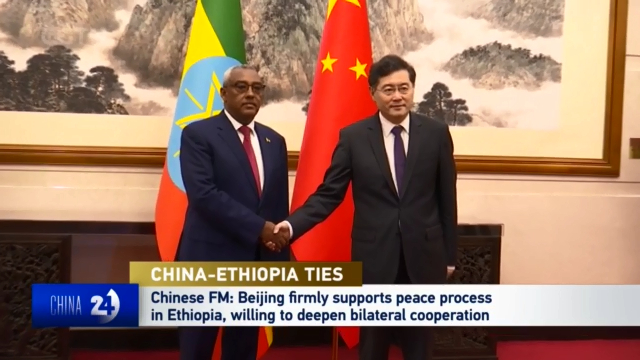 China-Ethiopia Ties: Chinese FM: Beijing firmly supports peace process ...