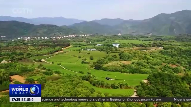 Green Is Gold: China began Green Rural Revival program 20 years ago - CGTN