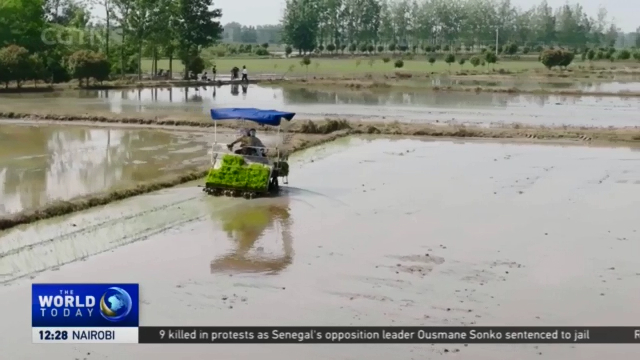 Agricultural Mechanization: Improving efficiency & quality in rice ...