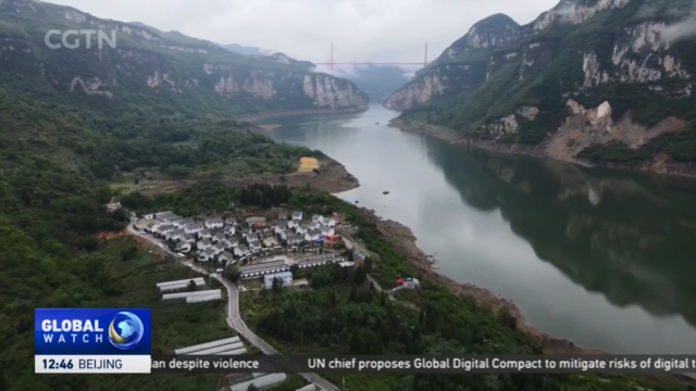 World Environment Day: Foreign diplomats make joint call for sustainable development - CGTN