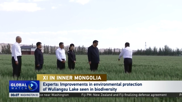 Xi in Inner Mongolia: Chinese president inspects pilot projects for ...